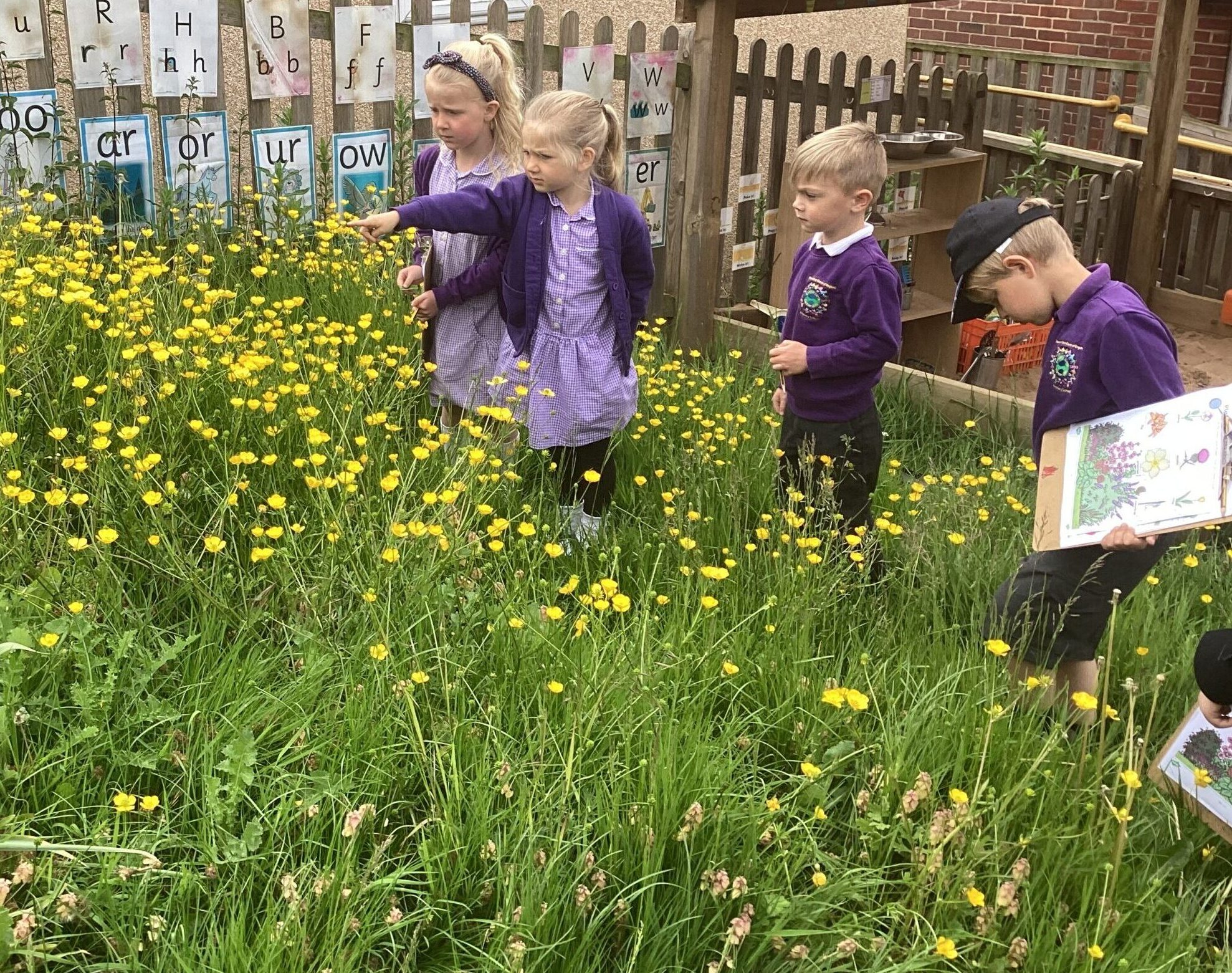 Admissions – Newton Tony