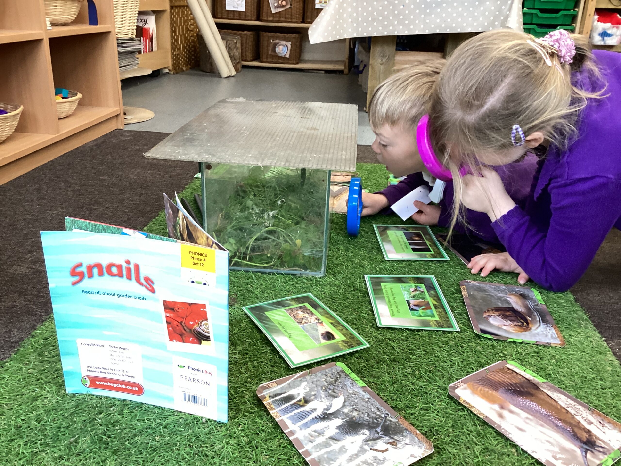 Hedgehogs – Newton Tony