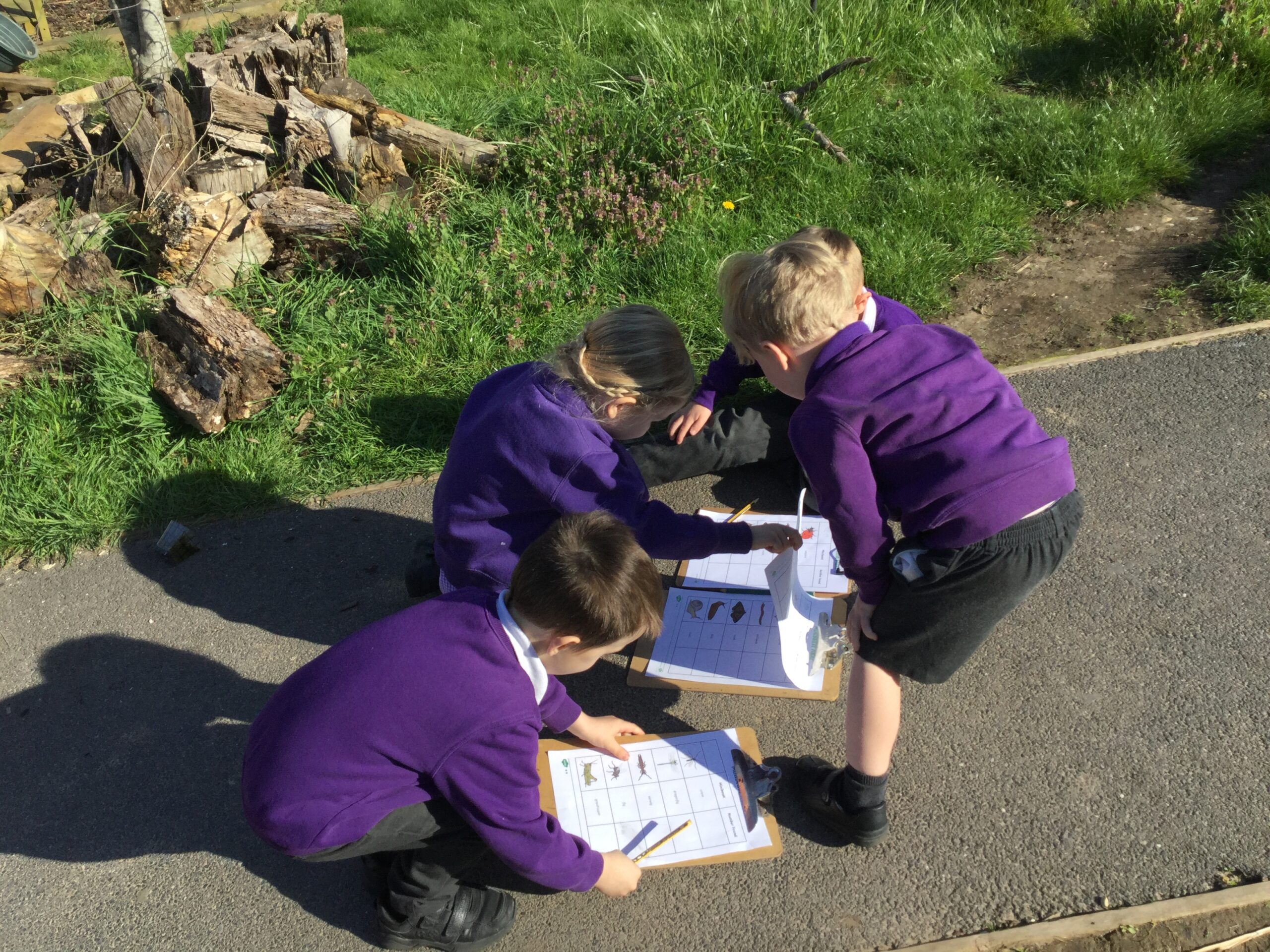 Hedgehogs – Newton Tony